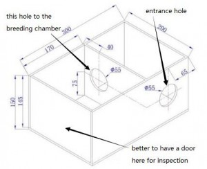 DIY a parrot breeding box | Care Birds